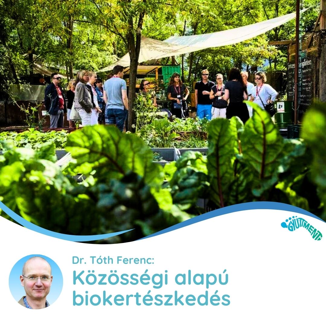 Dr. Tóth Ferenc: Közösségi alapú biokertészkedés - Gyüttment Fesztivál